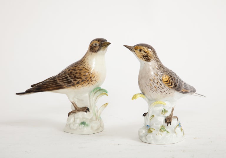 A Pair of Meissen Porcelain Models of Brown Fieldfare Birds For Sale at ...