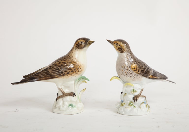 A Pair of Meissen Porcelain Models of Brown Fieldfare Birds For Sale at ...