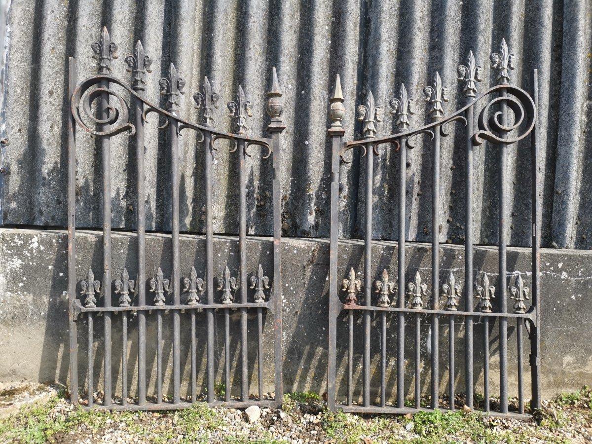 Pair of Mid to Late Victorian Cast Iron Gates with Fluer De Lys Finials ...