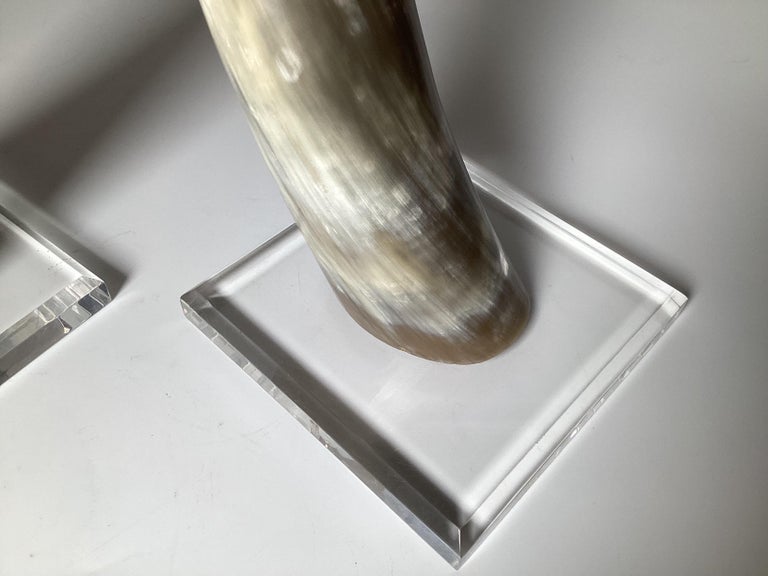Paar natürliche Hirschhorne auf Lucite-Sockeln im Angebot bei 1stDibs