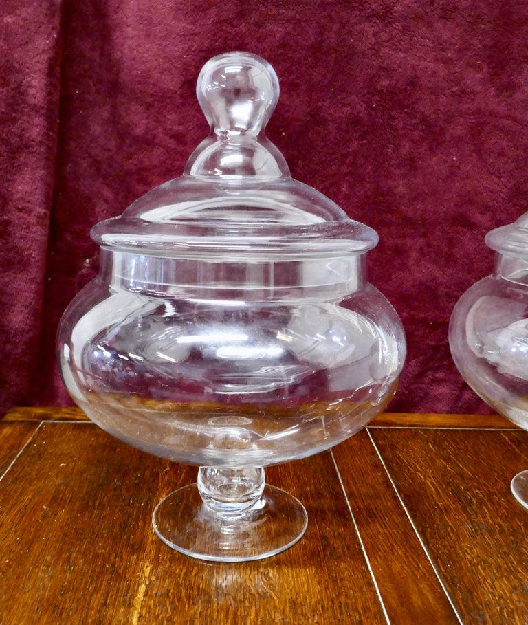 Pair of Very Large Old Storage Jars Shop Display For Sale at 1stDibs