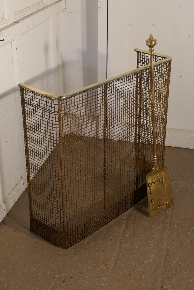 Petite High Victorian Nursery Fire Guard, Brass Fender at 1stDibs