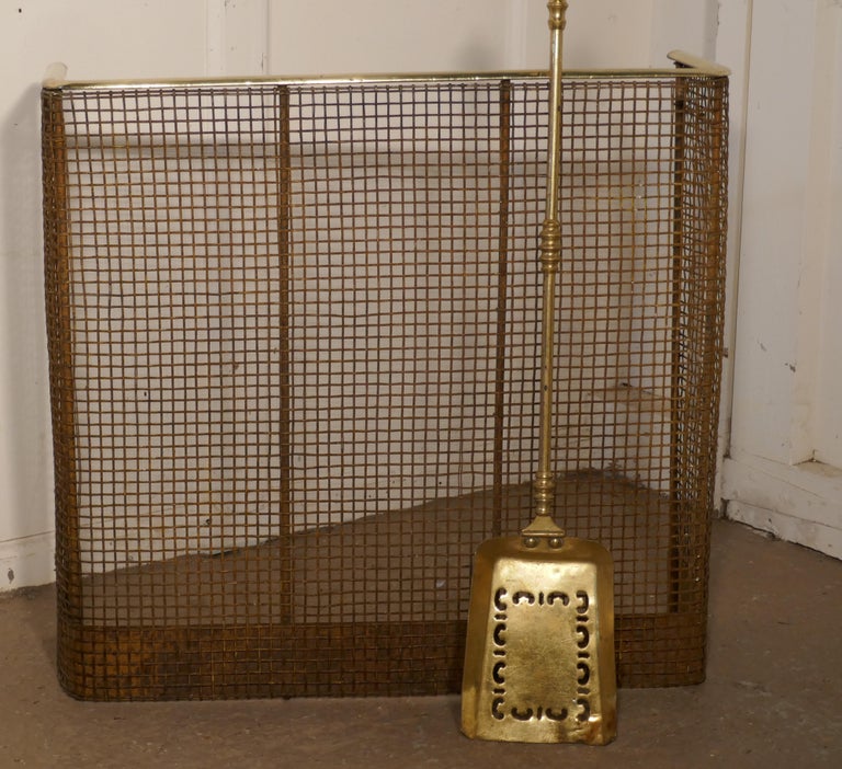 Petite High Victorian Nursery Fire Guard, Brass Fender at 1stDibs