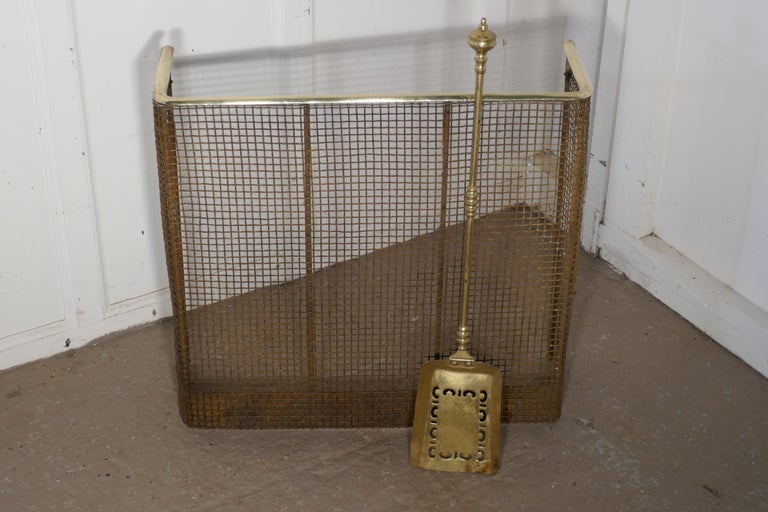 Petite High Victorian Nursery Fire Guard, Brass Fender at 1stDibs