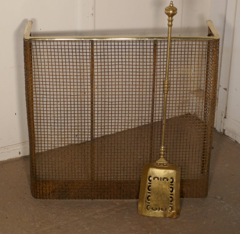 Petite High Victorian Nursery Fire Guard, Brass Fender at 1stDibs