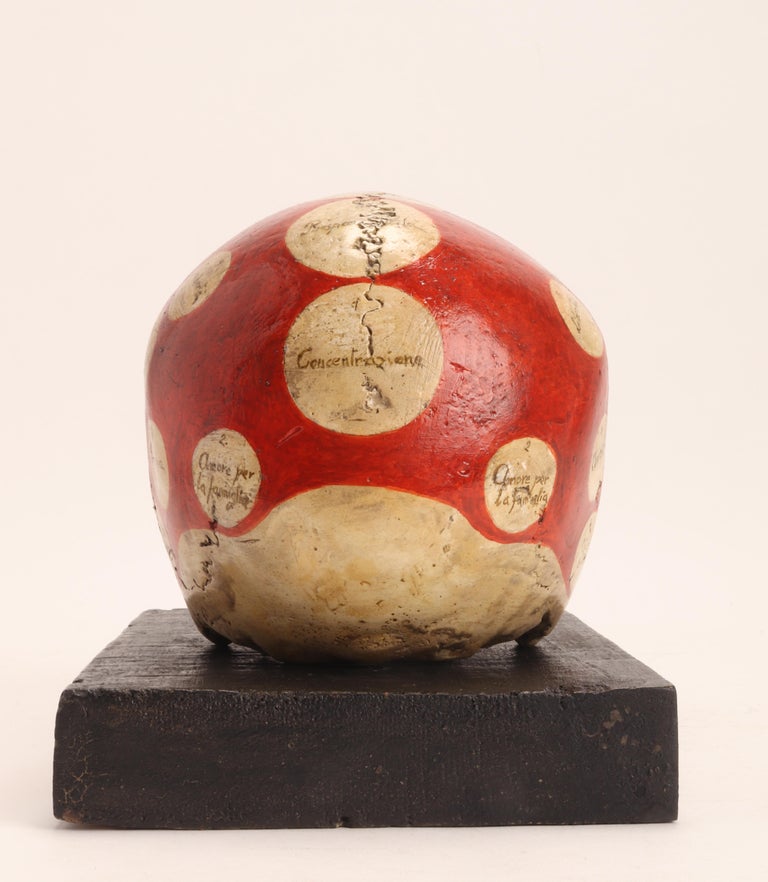 Phrenological Skull According to the Theory of Franz J. Gall, Italy ...
