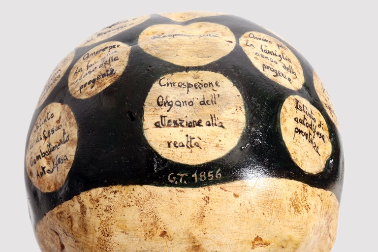 Phrenological Skull According to the Theory of Franz Joseph Gall ...