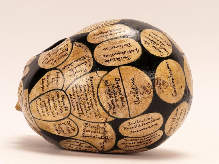 A phrenological skull according to the theory of Franz Joseph Gall ...