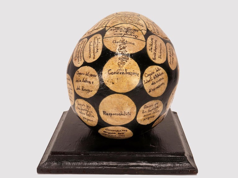 A phrenological skull according to the theory of Franz Joseph Gall ...