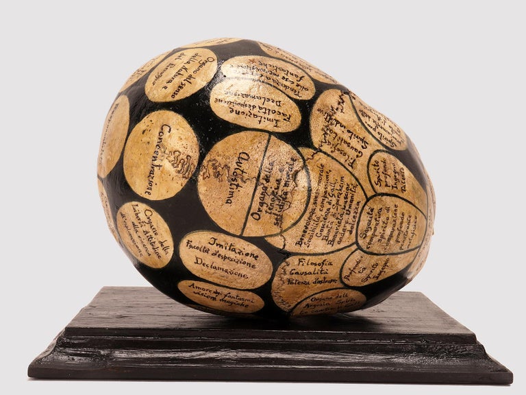 A phrenological skull according to the theory of Franz Joseph Gall ...