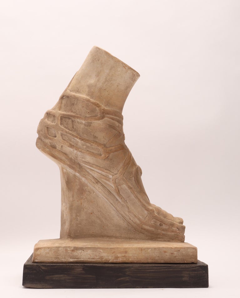 Plaster Cast a Roman Foot, Italy 1890 at 1stDibs