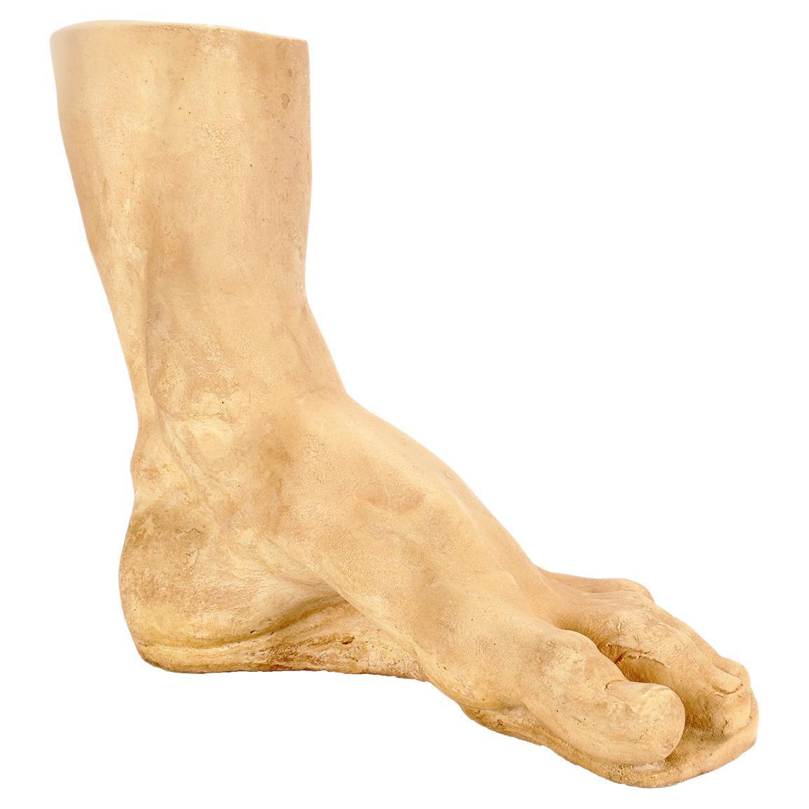 Plaster Cast the Head of Menelao, Italy, 1890 For Sale at 1stDibs ...