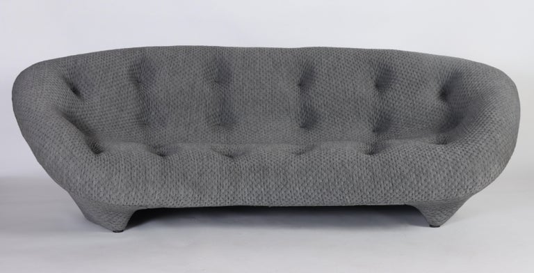 "Ploum" Sofa Designed by E. and R. Bouroullec for Ligne Roset, France ...