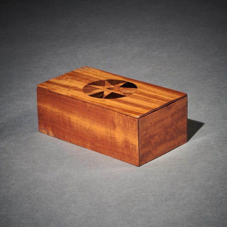 Rare 19th Century West Indian Satinwood Specimen Wood Box with Titled ...