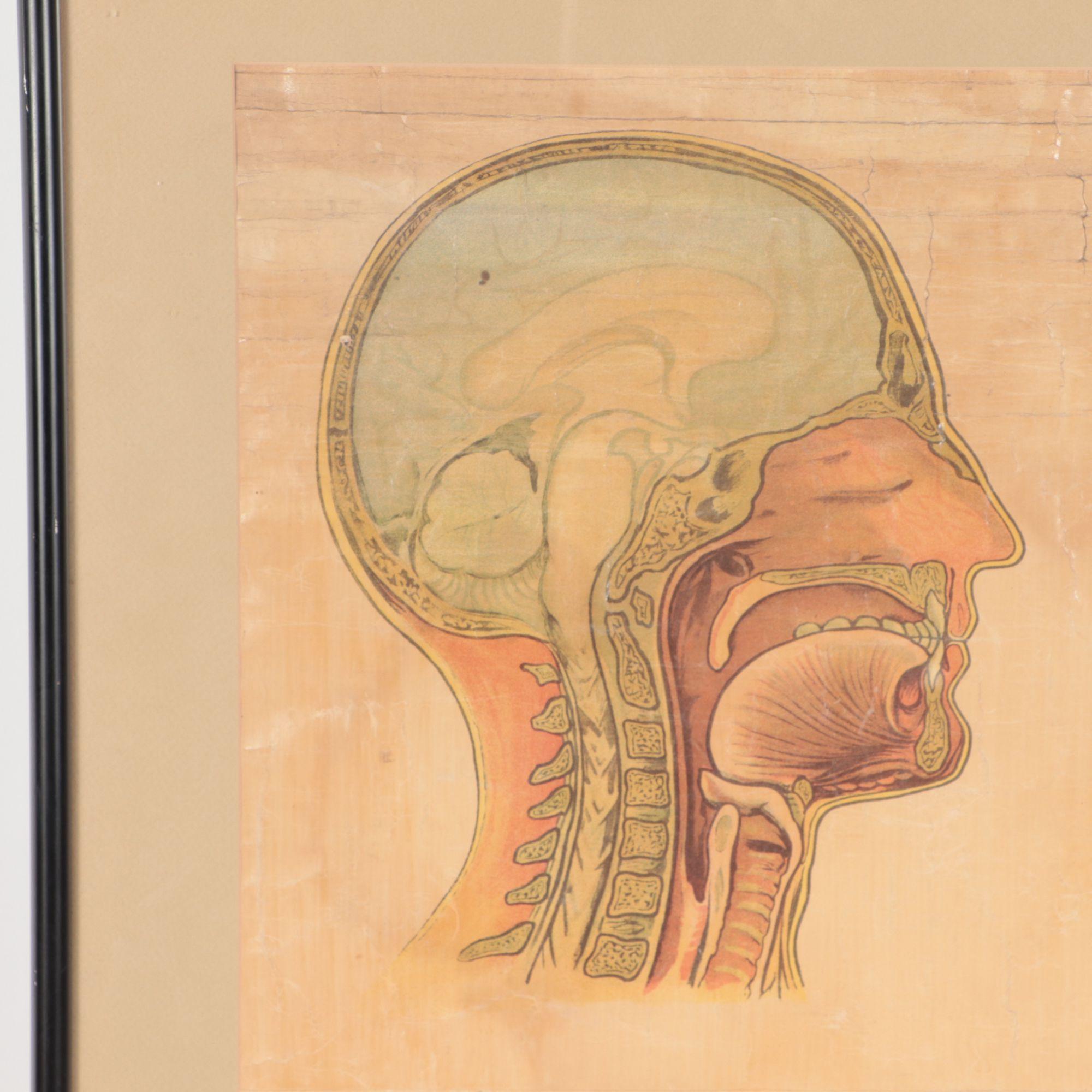 Rare Framed Antique English First Aid Poster, circa 1900 For Sale at ...