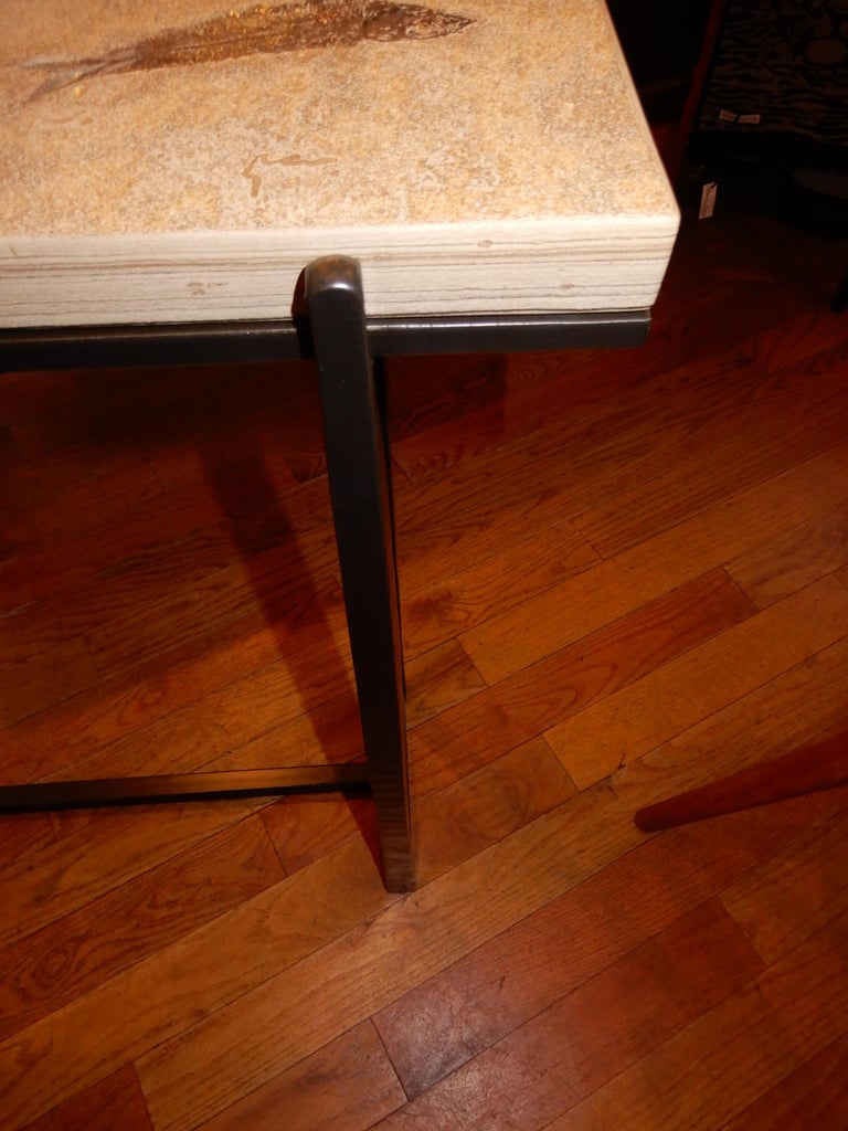 Rare One of a Kind Ancient Fossils Console Table at 1stDibs
