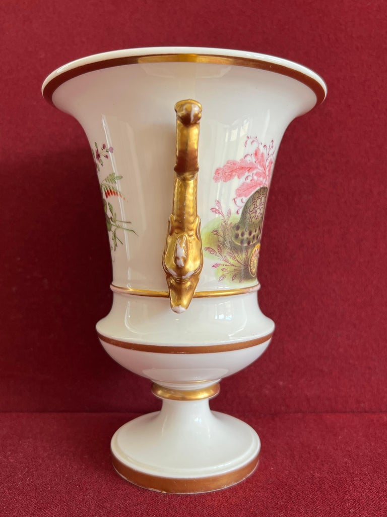 Rare Spode Porcelain Shell Decorated Vase Pattern 3930 C.1824 For Sale ...