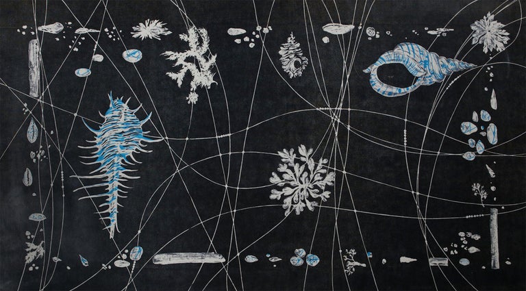 Rectangular Sea Shell Coffee Table at 1stDibs