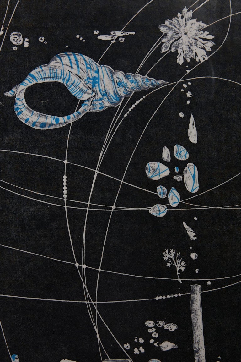 Rectangular Sea Shell Coffee Table at 1stDibs