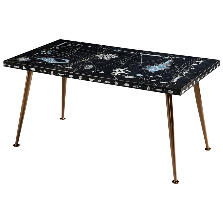 Rectangular Sea Shell Coffee Table at 1stDibs