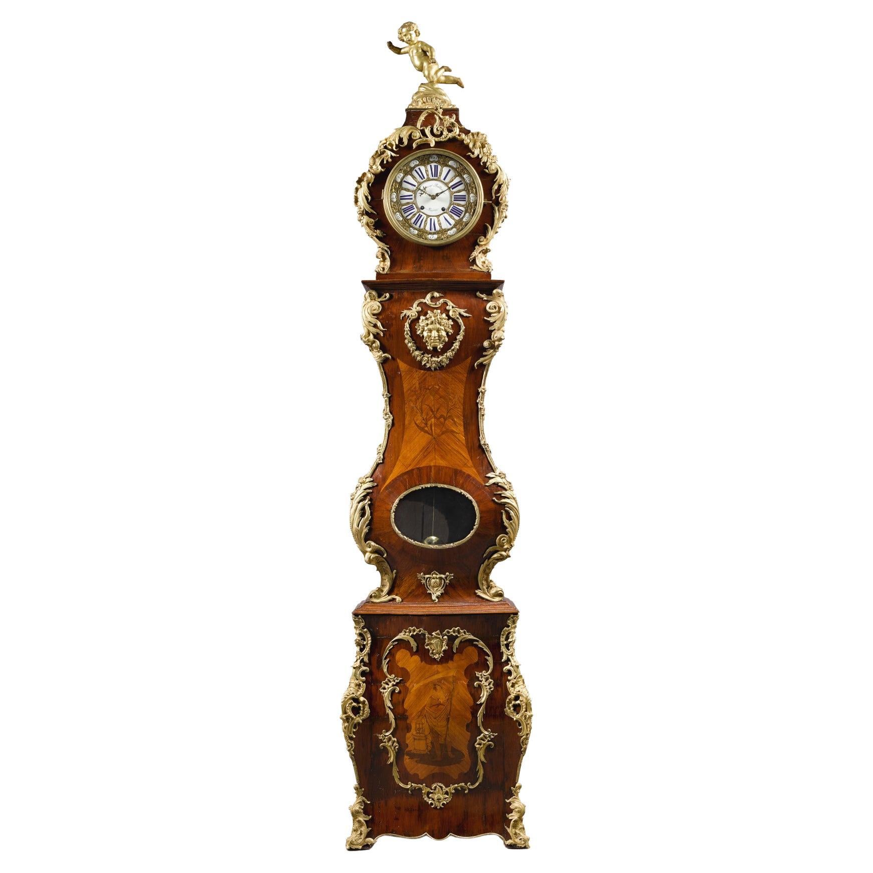 Louis XV Tall Case Clock For Sale at 1stDibs