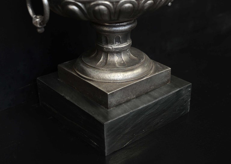 Regency Style Cast Iron Firegrate with Marble Plinth For Sale at ...