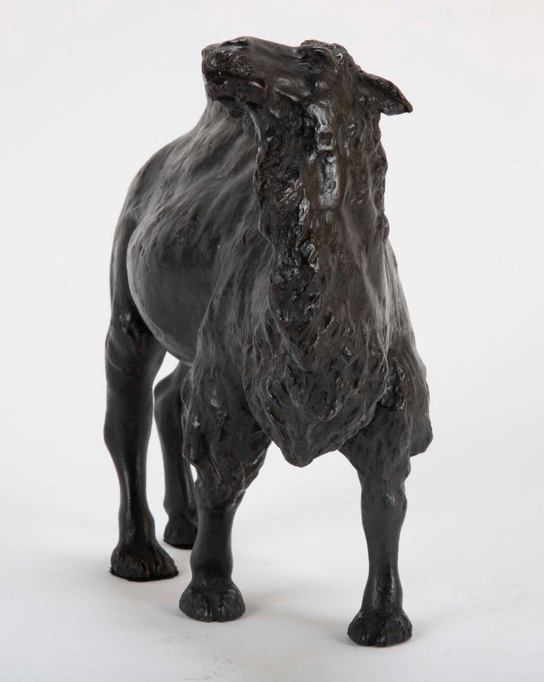 Sculpted Japanese Bronze of a Bactrian Camel For Sale at 1stdibs