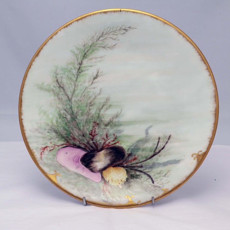 Set of 12 D&C Limoges Plates Painted with Shells at 1stDibs