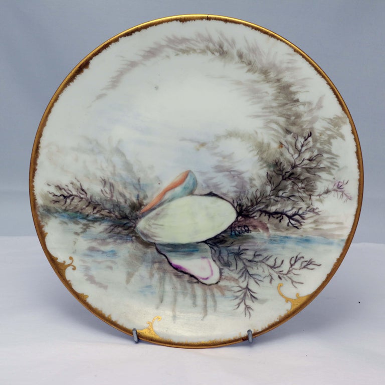 Set of 12 D&C Limoges Plates Painted with Shells at 1stDibs