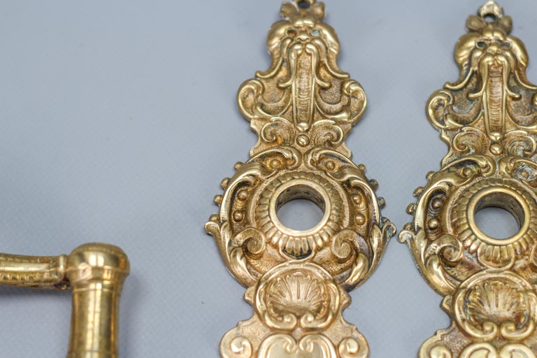 Set of Early 20th Century French Louis XV Style Brass Door Plates and ...
