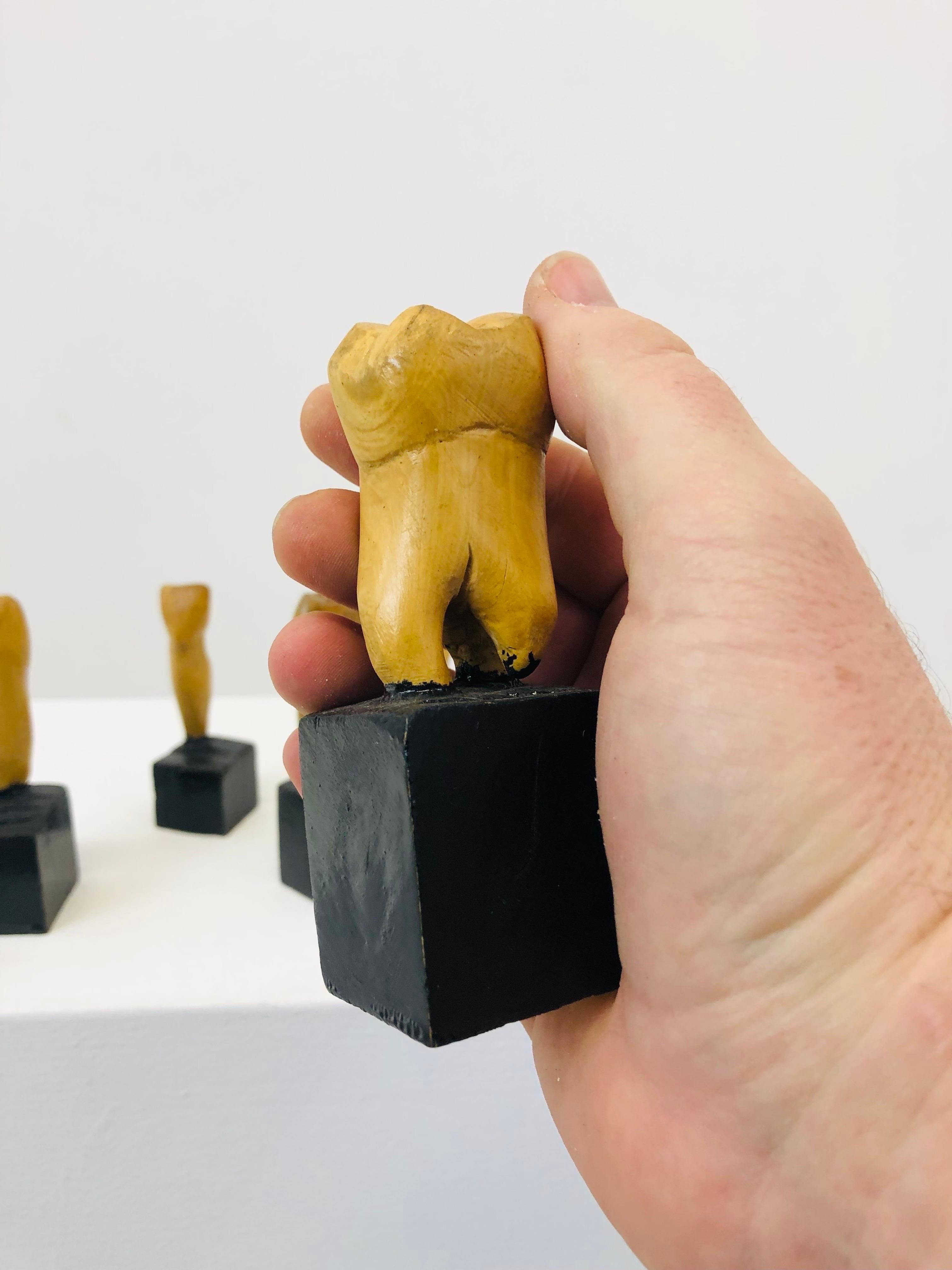 Set of Six Wooden Teeth from a Dental School, 1950 at 1stDibs