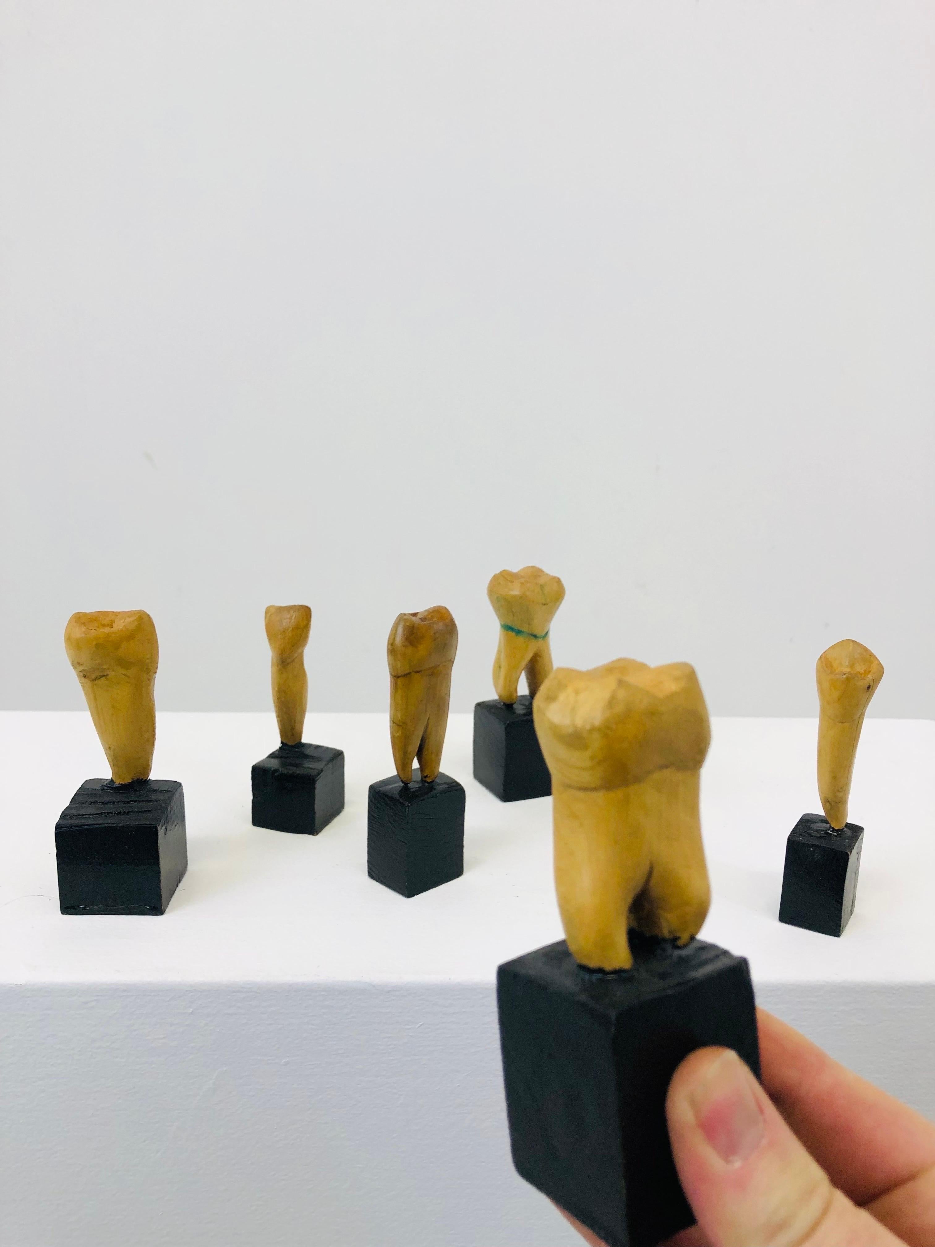 Set of Six Wooden Teeth from a Dental School, 1950 at 1stDibs
