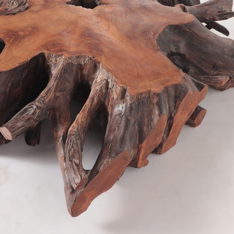 Solid Tree Slab Root Coffee Table, Burnt Wood Finish, Contemporary For Sale at 1stDibs