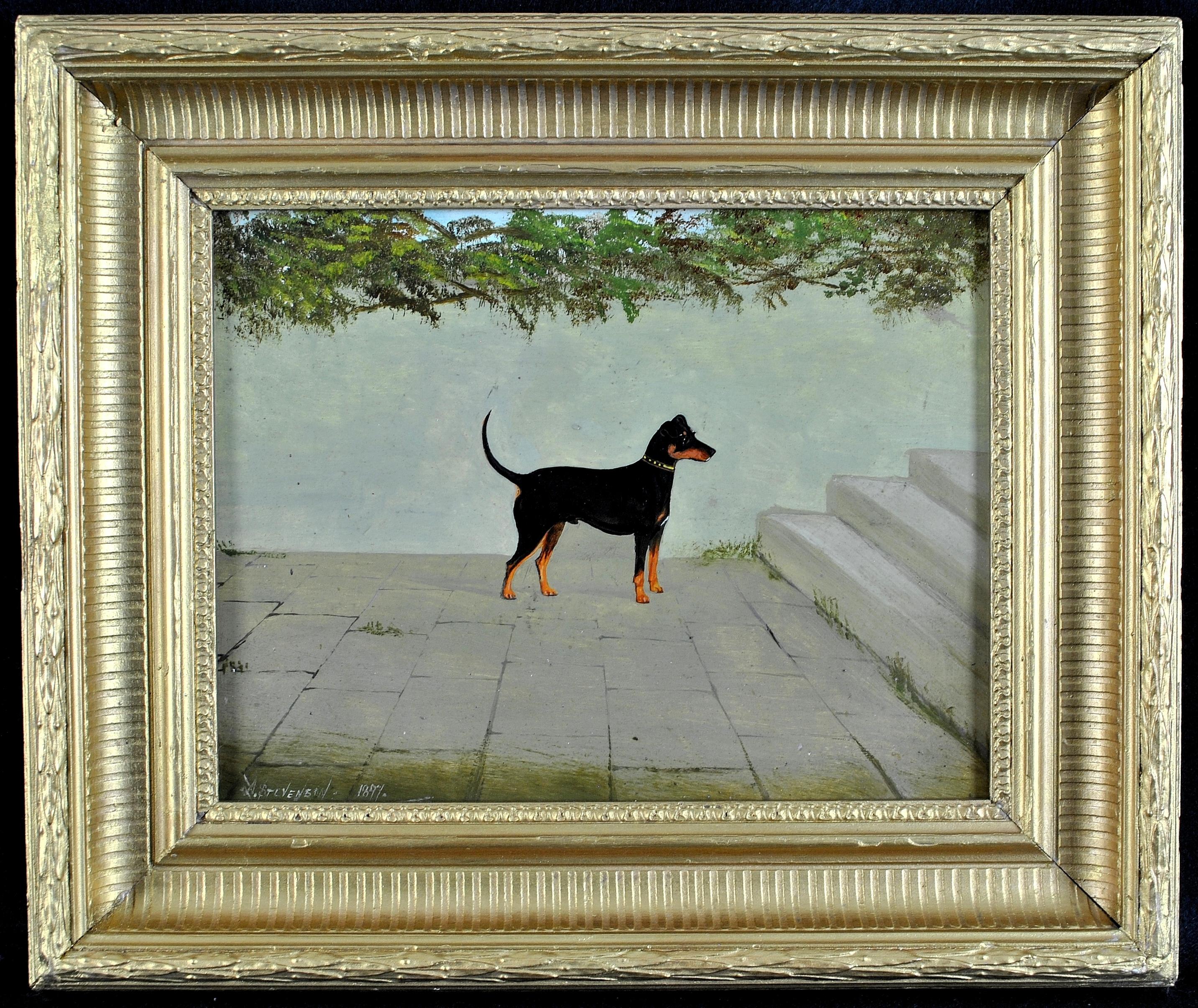 A. Stevenson - Portrait of a Terrier - 19th Century English Oil on ...