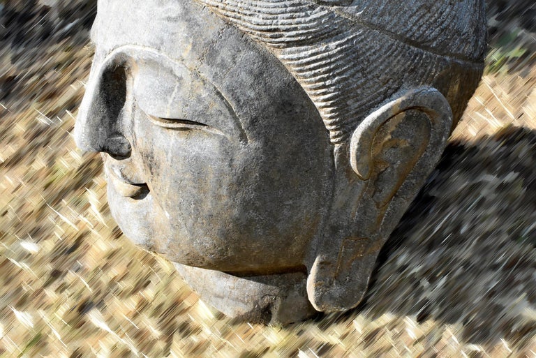 Stone Buddha Head Tang Style For Sale at 1stDibs