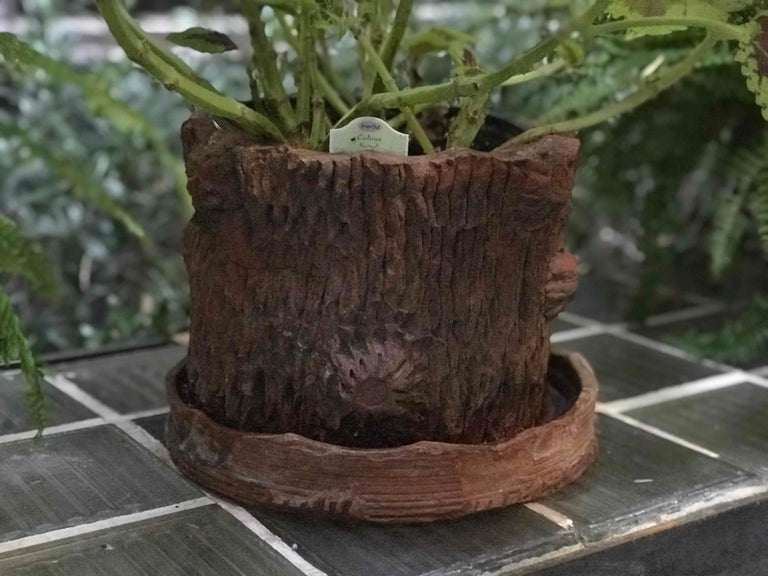 A Terra Cotta Pot in the Shape of a Tree Trunk For Sale at 1stDibs