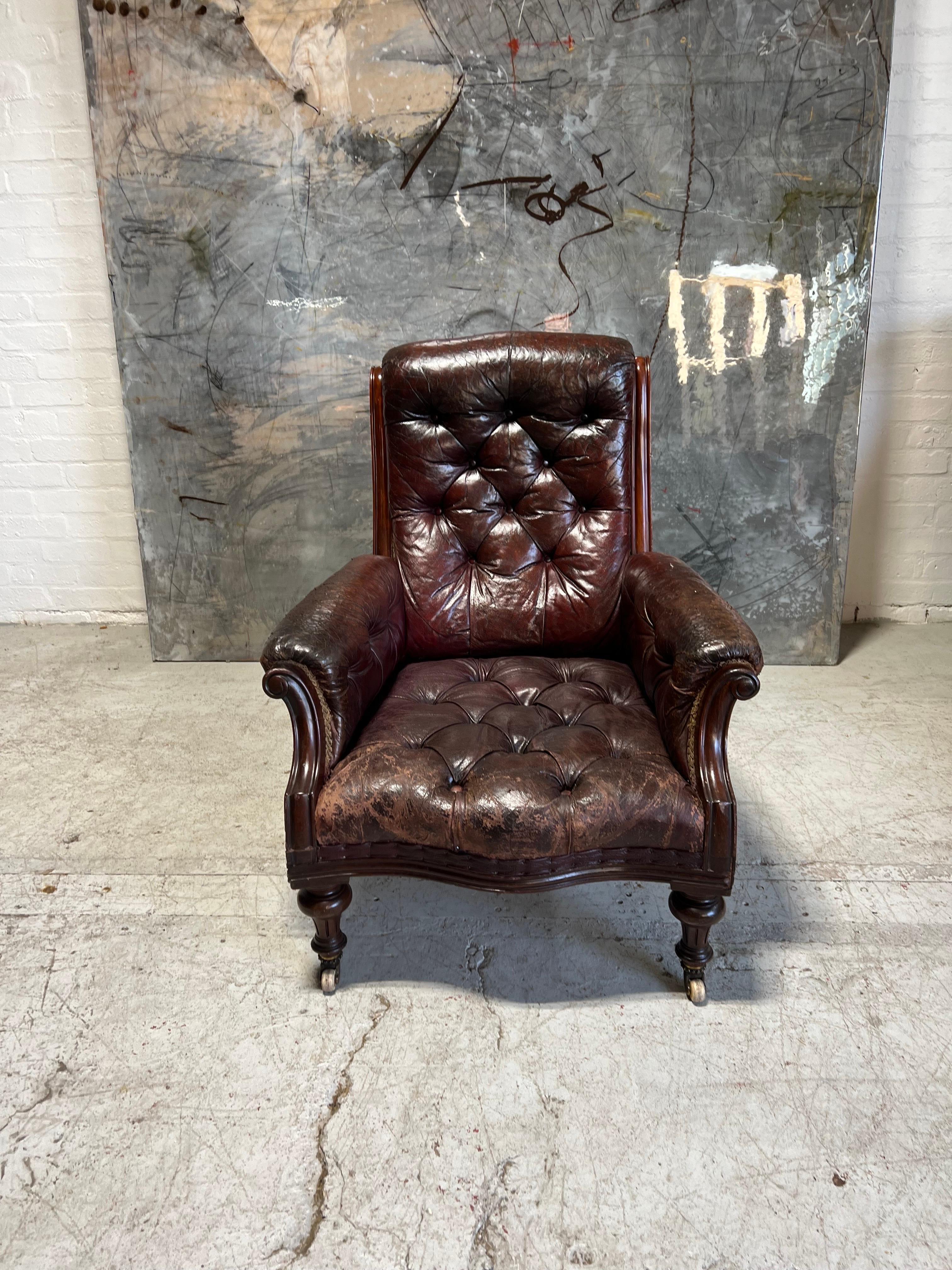 Very Beautifully Armchair in Original Goat Skin - Hamptons of Pall Mall ...