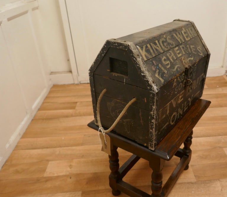 Victorian Pine Fishing Bait Box at 1stDibs