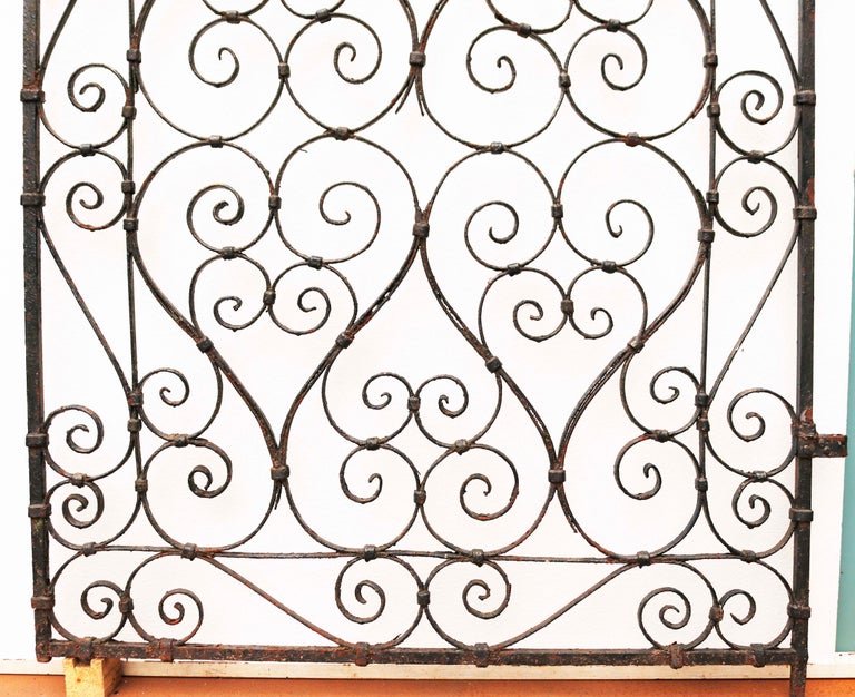 Wrought Iron Gate with Scroll Design For Sale at 1stDibs