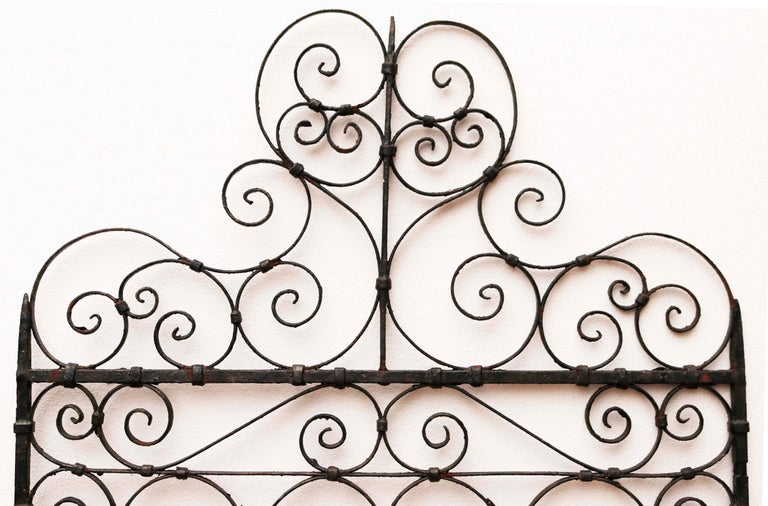Wrought Iron Gate with Scroll Design For Sale at 1stDibs