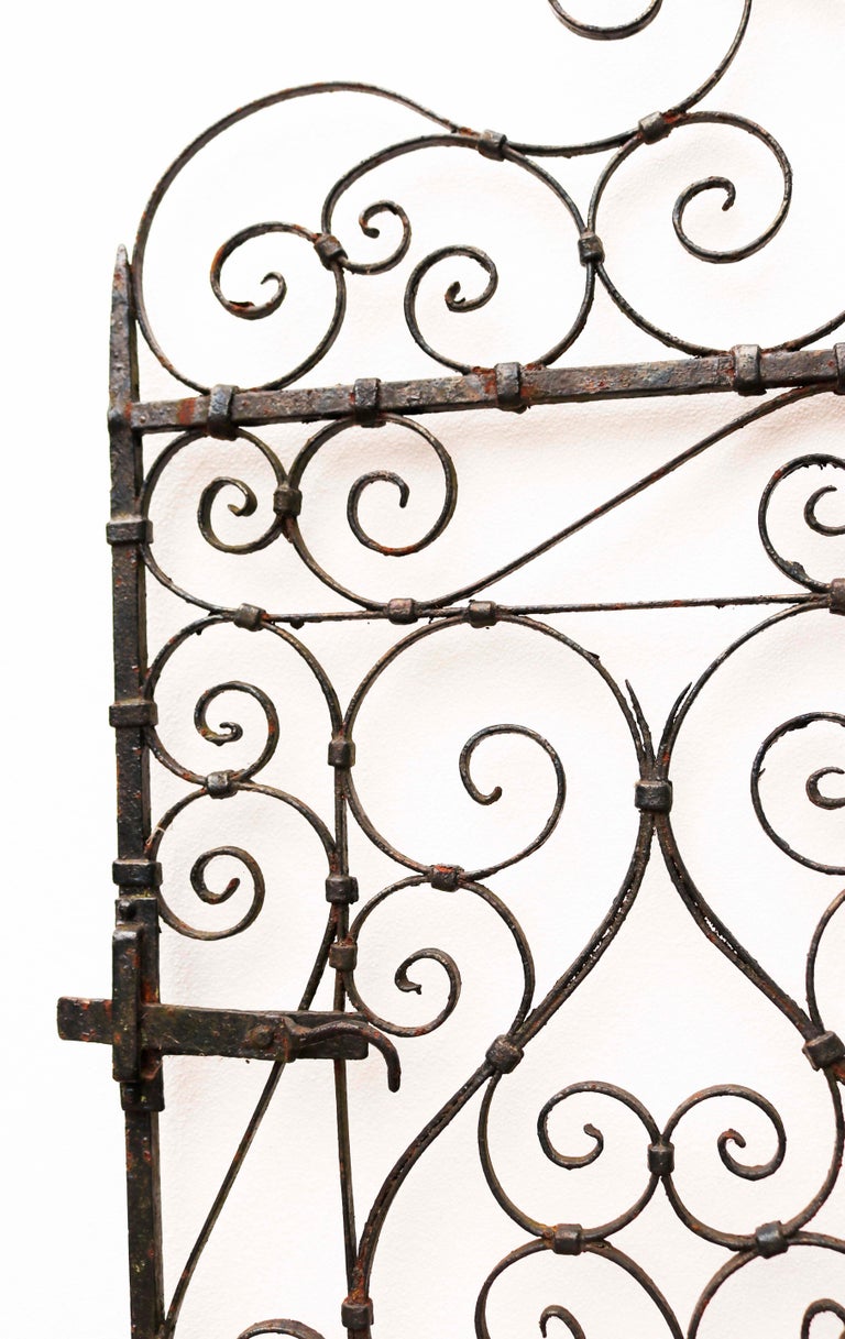 Wrought Iron Gate with Scroll Design For Sale at 1stDibs