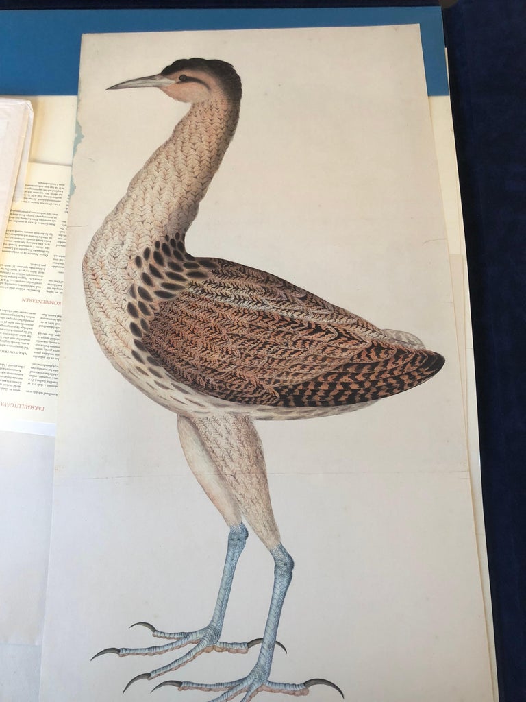 Olof Rudbeck - Rudbeck BITTERN - Limited First Edition Portfolio - #482 ...