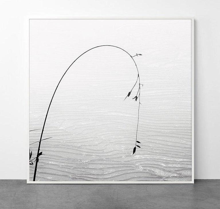 Alexandre Manuel - Landscape IV, Vietnam For Sale at 1stDibs