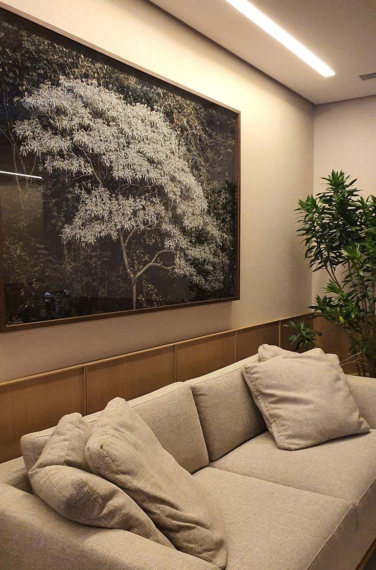 Daniel Mansur - Daniel Mansur - Brumadinho Tree, Brazil For Sale at 1stDibs