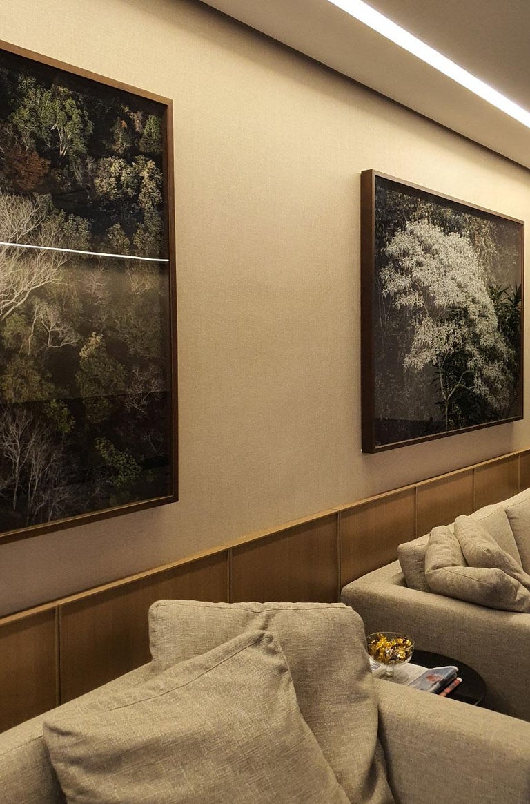 Daniel Mansur - Daniel Mansur - Brumadinho Tree, Brazil For Sale at 1stDibs