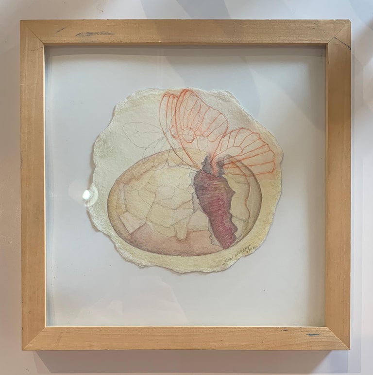 Ann McCoy – Ovum (Schmetterling) #2 im Angebot bei 1stDibs