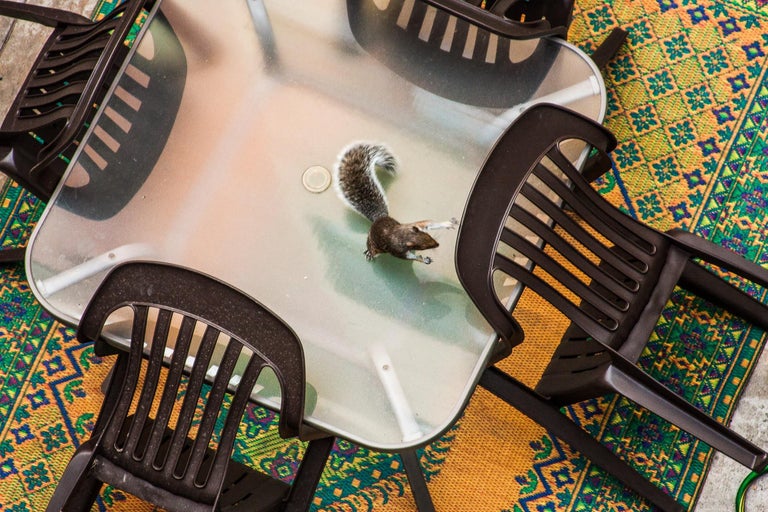 Ivan Butorac - Room With A View For Sale at 1stDibs