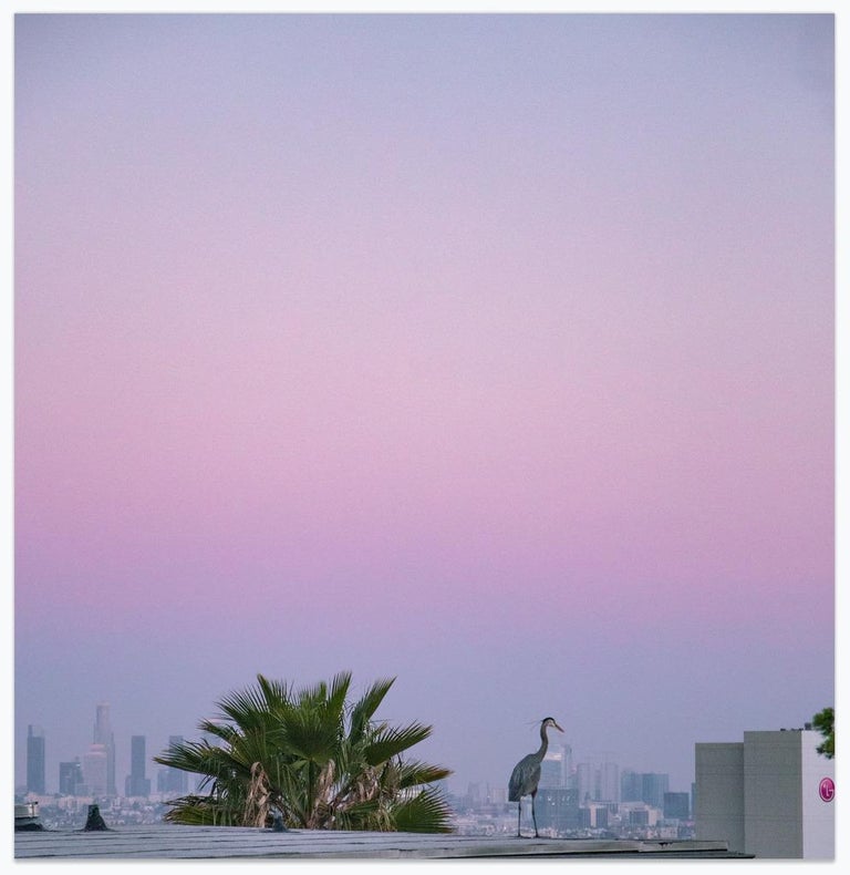 Ivan Butorac - Watching The Sunset For Sale at 1stDibs | carl's furniture