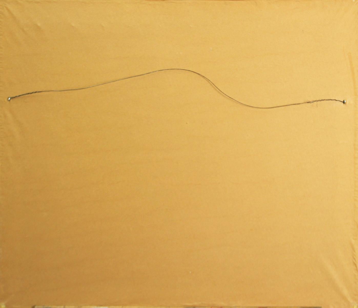 John James Laforest Audubon - John Audubon, "Bachman's Hare ...