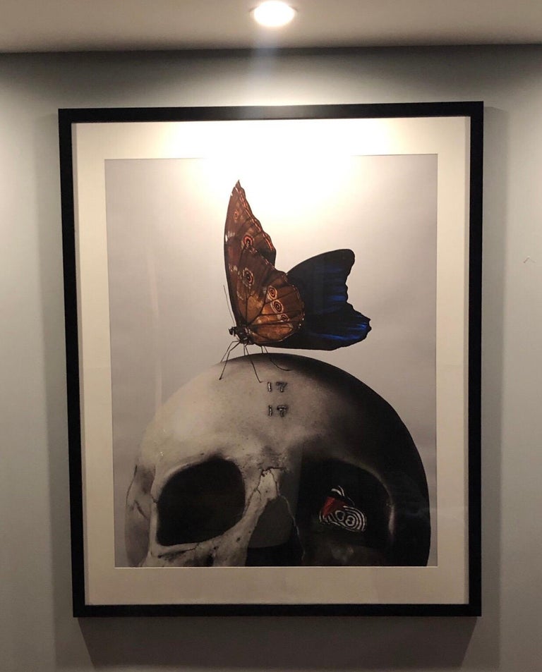 Mario Kroes - "Skull and Butterfly" Original Fine Art Print Edition of ...